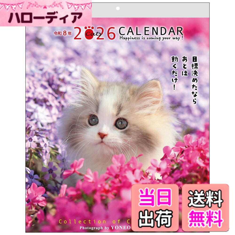 商品情報商品の説明【2026 ウォールカレンダーメッセージカレンダーCAT】 動物写真家 森田米雄 撮影。 可愛いネコたちが疲れた心を癒し励ましてくれるようなメッセージと写真がユニークな味わい。 日付け確認のしやすい前後3か月表記。 六曜入...