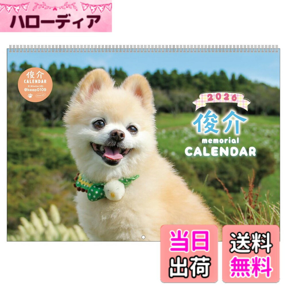商品情報商品の説明ぬいぐるみのようなかわいさが大人気の柴犬カットのポメラニアン・俊介のカレンダーです。主な仕様 ぬいぐるみのようなかわいさが大人気の柴犬カットのポメラニアン・俊介のカレンダーです。サイズ：257x364mm13枚つづりリング仕様