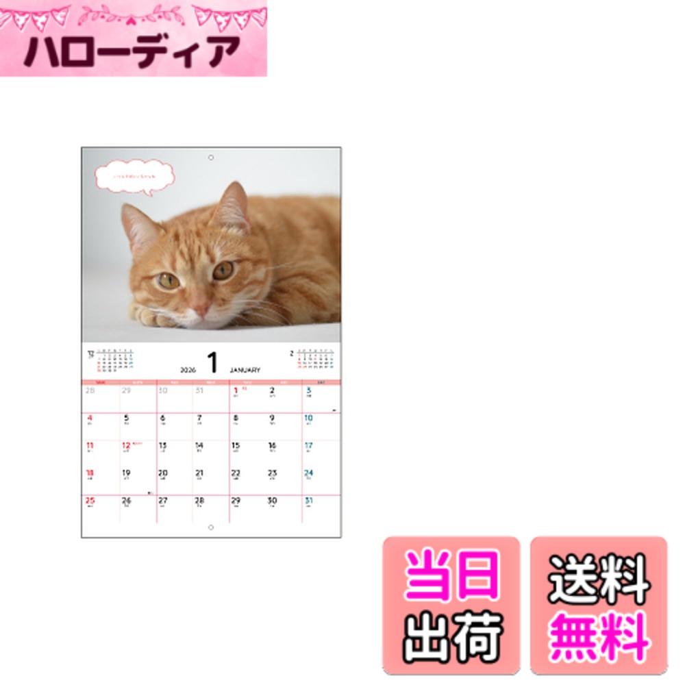 商品情報商品の説明壁掛けと卓上がセットになっている　壁掛けと卓上でおそろいのデザインを楽しめる主な仕様 【サイズ】壁掛5x350x300mm　卓上4x188x143mm【材質】紙【商品説明】壁掛けと卓上がセットになっている　壁掛けと卓上でお...