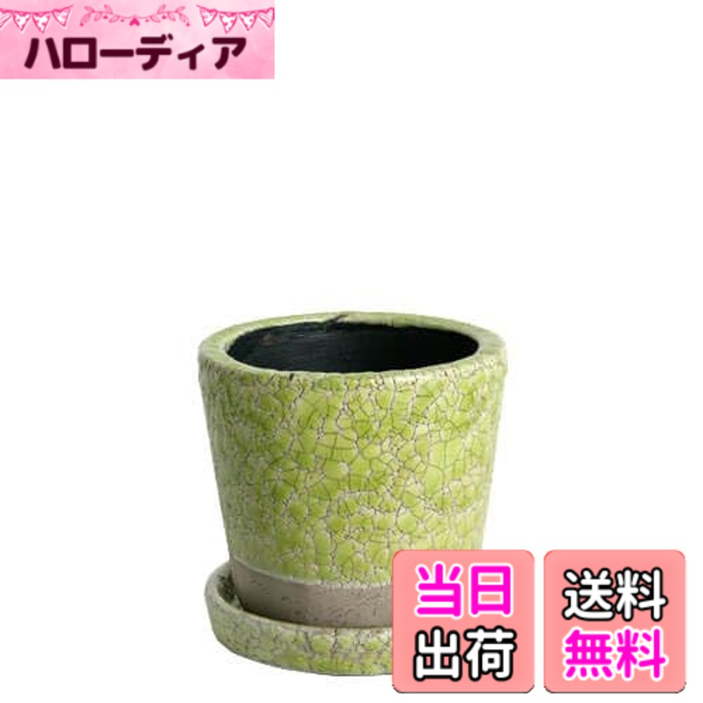 商品情報商品の説明豊富な色展開を誇るカラーポット。 単調な色使いになりがちなガーデニングアイテムも、 色とりどりのカラーポットを加えることで華やかな、 心浮き立つコーディネートが可能に。 屋内のインテリアのポイントにもなります。 表面のクラ...