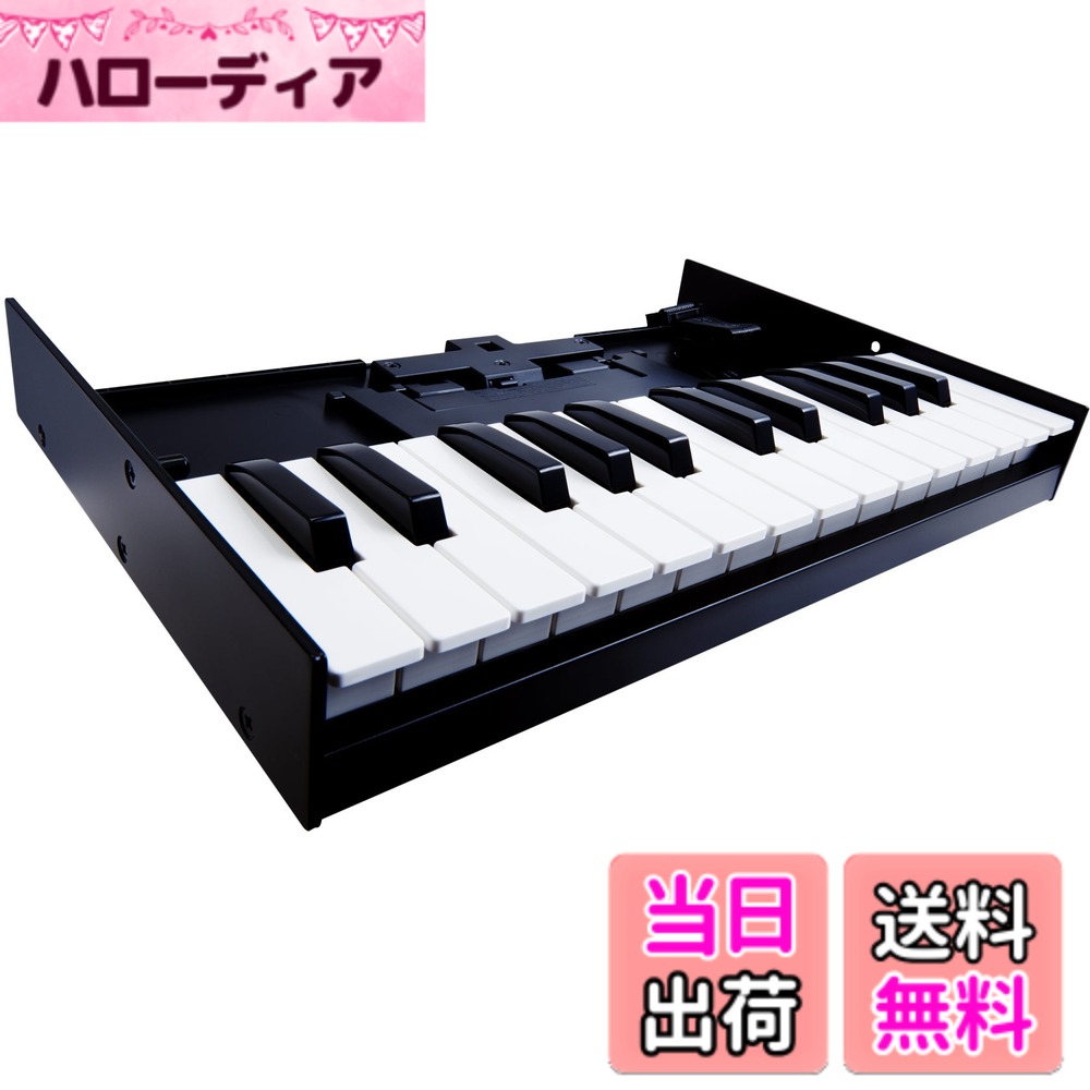 商品情報商品の説明K-25Mは、25鍵のミニ鍵盤を搭載した省スペースかつ軽量のRoland Boutiqueシリーズ専用キーボード。ミニ鍵盤ながらベロシティーに対応しています。Roland Boutiqueモジュールをフラットから2段階にチ...