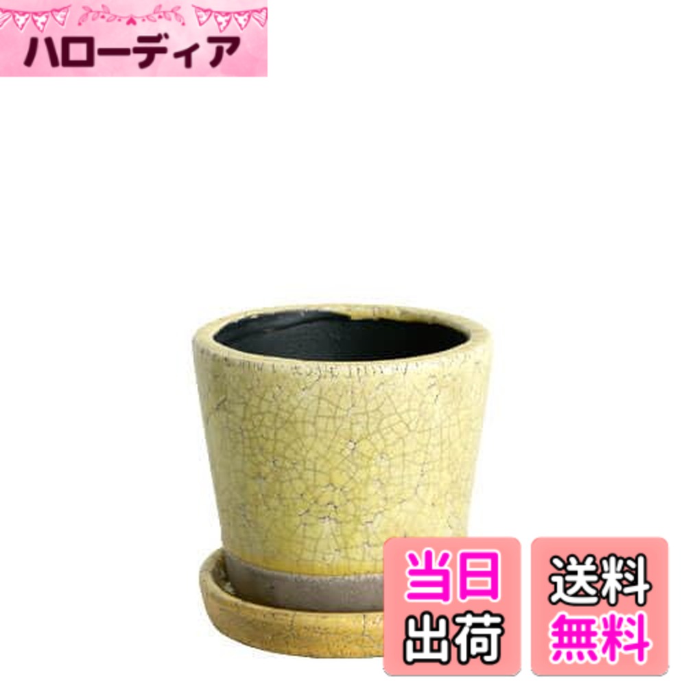 商品情報商品の説明豊富な色展開を誇るカラーポット。 単調な色使いになりがちなガーデニングアイテムも、 色とりどりのカラーポットを加えることで華やかな、 心浮き立つコーディネートが可能に。 屋内のインテリアのポイントにもなります。 表面のクラ...