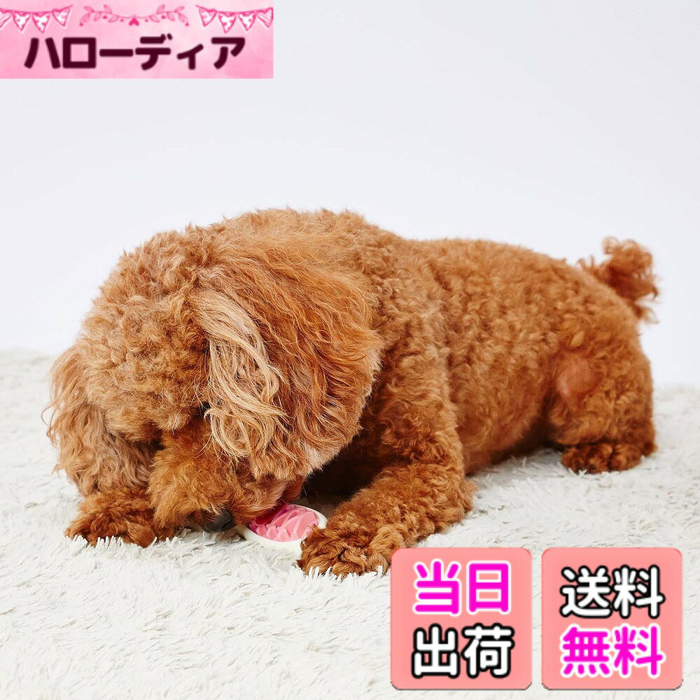 商品情報商品の説明商品紹介 ・硬い素材と柔らかい素材の2つの噛みごこちで飽きずに遊べるデンタルトイです。 ・よく噛むことでブラッシング効果があり、口内の健康維持に役立ちます。 ・外側は角のない形状なので口当たりがよく、内側の突起で歯の汚れを...
