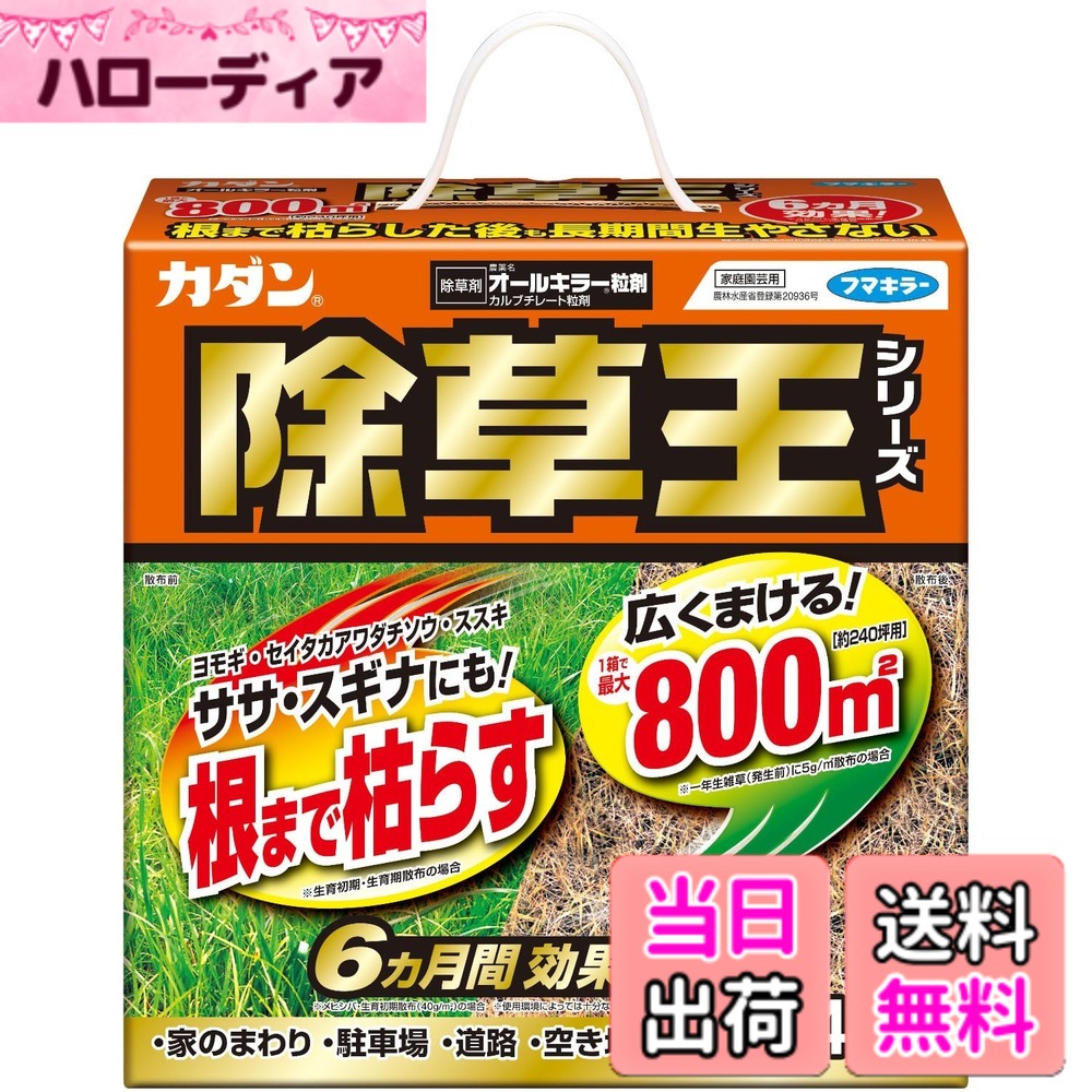 商品情報商品の説明商品紹介 - 使用方法 使用方法：...（具体使用方法根据品描述推断）主な仕様 粒剤除草剤
