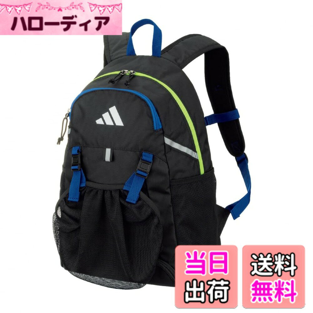 商品情報商品の説明ボール用デイパック 横31x縦45x奥行18cm主な仕様 デイパック24L