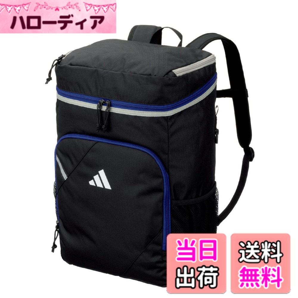 商品情報商品の説明ボール用デイパック 横30x縦46x奥行18cm主な仕様 本体サイズ:横30x縦48x奥行16cmbr容量:30Lbr素材:ポリエステル生産国:ベトナム用途:収納