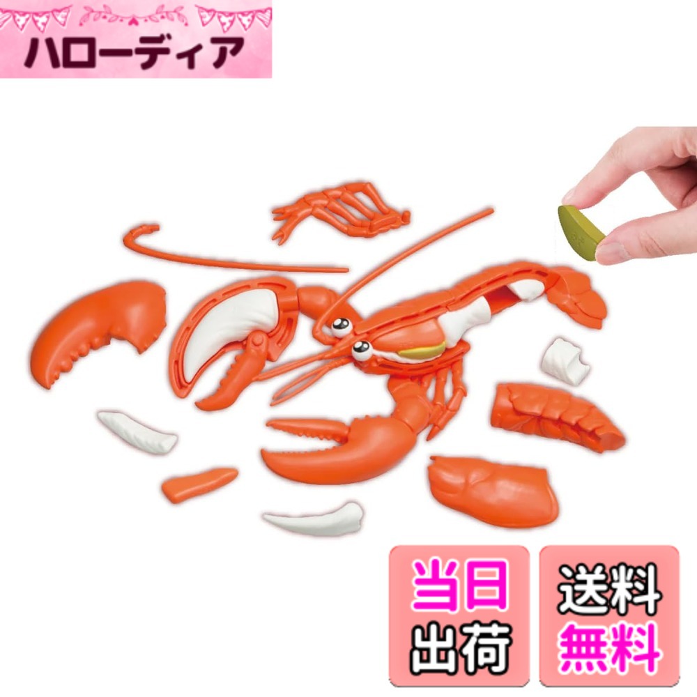 商品情報商品の説明商品紹介 大きなハサミのロブスターが解体パズルで登場！バラバラのパーツを組み上げると豪華なロブスターが完成します。 安全警告 該当なし主な仕様 皿シートにのせてディスプレイ！もぎって外せる！動かせる！