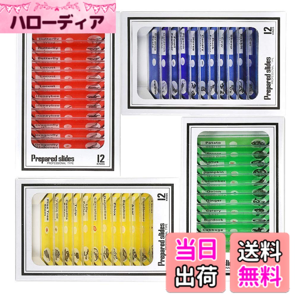 商品情報商品の説明説明： 100％真新しく高品質 特徴： 動物のパーツの12枚の準備されたスライドのセット。 白い箱に詰められて、各サンプルは標本識別でラベル付けされます。 標本を保存し、汚染を防ぐために、サンプルはカバーガラスで密封されて...