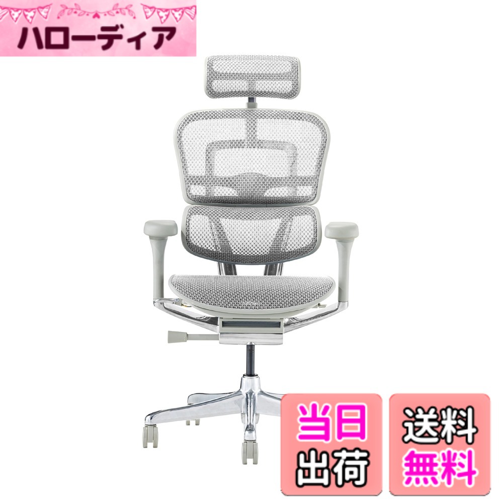 商品情報商品の説明商品紹介 強さと高さが調整できる独立式ランバーサポートが、腰椎と骨盤をサポート。“骨盤上部” を支えることで、背骨のS 字カーブを長時間維持できます。前傾チルト機能はノートPC 作業などの前傾姿勢にも対応。ヘッドレストバー...