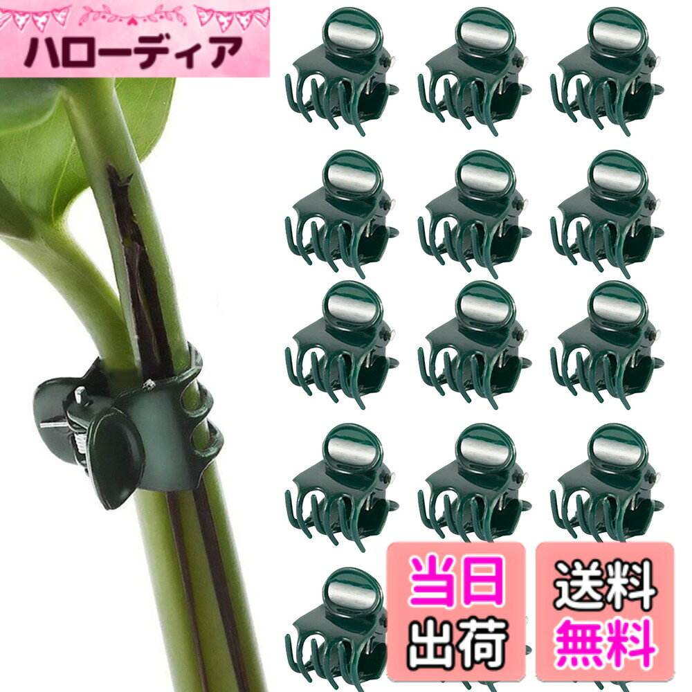 商品情報 商品の説明 主な仕様 【洋蘭や野菜に最適】洋蘭や野菜の支柱に最適な50個セットの植物支柱クリップ。茎をしっかりと保持し、登山植物を直立させ、実った枝をサポートします。br【耐久性抜群】この植物支柱クリップは高品質のプラスチック製で...