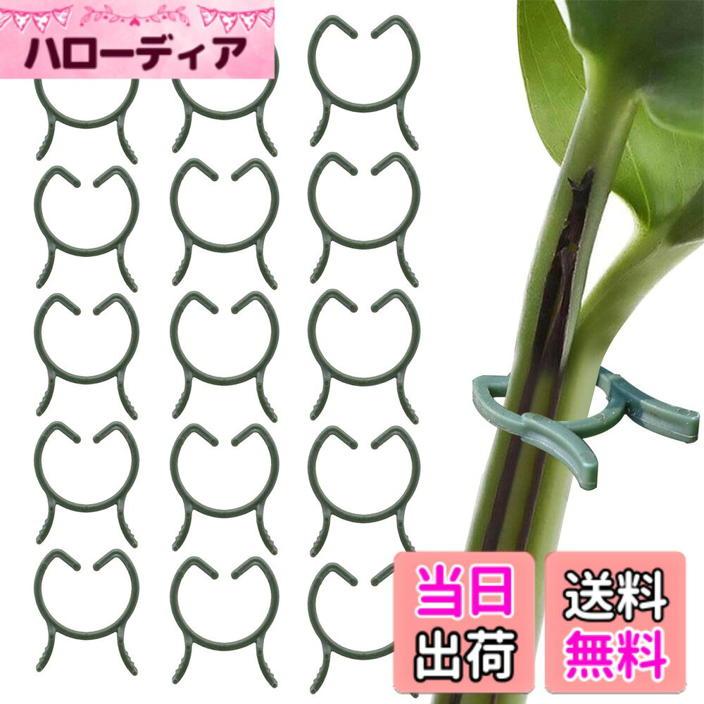 商品情報商品の説明主な仕様 【野菜や洋蘭に最適】洋蘭や野菜の支柱に最適な60個セットの植物支柱クリップ。茎をしっかりと保持し、登山植物を直立させ、実った枝をサポートします。【耐久性抜群】この植物支柱クリップは高品質のプラスチック製で、防水で...