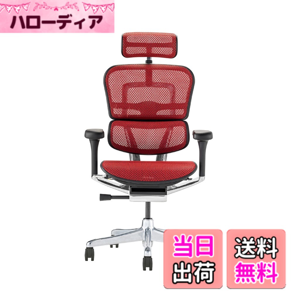 商品情報商品の説明強さと高さが調整できる独立式ランバーサポートが、腰椎と骨盤をサポート。“骨盤上部” を支えることで、背骨のS 字カーブを長時間維持できます。前傾チルト機能はノートPC 作業などの前傾姿勢にも対応。ヘッドレストバーが従来モデ...