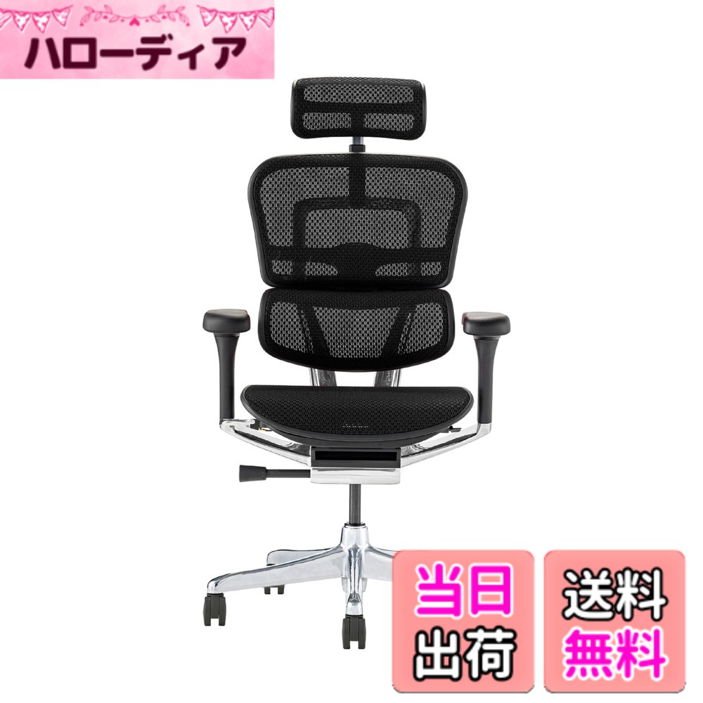 商品情報商品の説明商品紹介 強さと高さが調整できる独立式ランバーサポートが、腰椎と骨盤をサポート。“骨盤上部” を支えることで、背骨のS 字カーブを長時間維持できます。前傾チルト機能はノートPC 作業などの前傾姿勢にも対応。ヘッドレストバー...