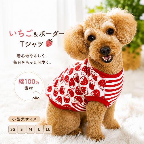 その他の小型犬服はこちら ＜夏でも洋服を着てほしいワケ＞ ワンちゃんは肉球にしか汗腺がなく、発汗による 体温調節がほとんどできないので暑さが苦手です。 そのため日差しの強い屋外や 熱のこもりやすい車内など 熱中症を引き起こしやすくなります。...