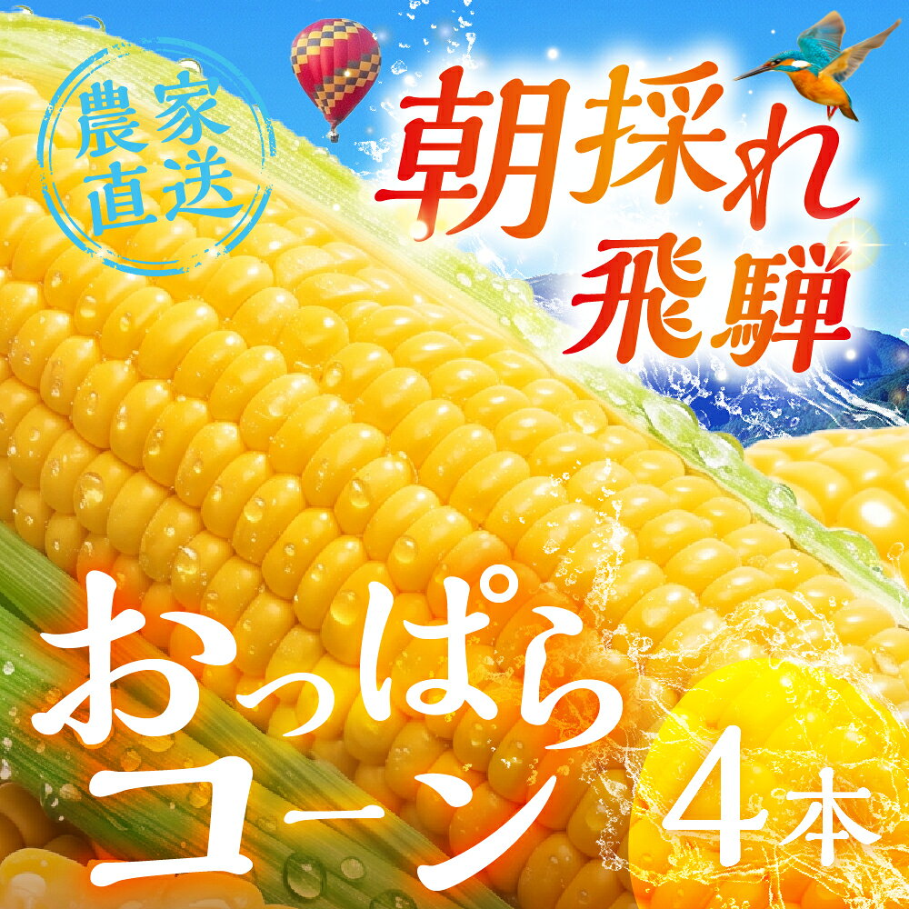 飛騨の大自然の恵みがギュッ！ 栽培中農薬不使用「飛騨おっぱらコーン」 驚くほど味が濃い！一度食べたら忘れられない感動の甘さ 標高の高い飛騨の大地で、ひさむら農園が種から1本1本手作業で大切に育て上げました。 安心の栽培期間中農薬不使用でお届...