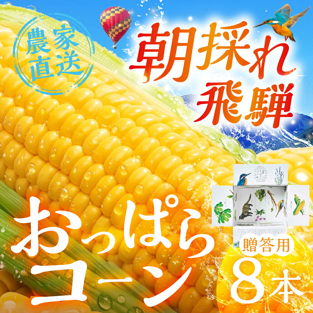 飛騨の大自然の恵みがギュッ！ 栽培中農薬不使用・1本1本手作りの「飛騨おっぱらコーン」 驚くほど味が濃い！一度食べたら忘れられない感動の甘さ 標高の高い飛騨の大地で、ひさむら農園が種から1本1本手作業で大切に育て上げました。 安心の栽培期間...