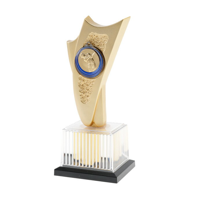 ゴルフ用トロフィーです。 ■サイズ：20cm ■重量：350g 検索ワード：リボン トロフィー用 カップ