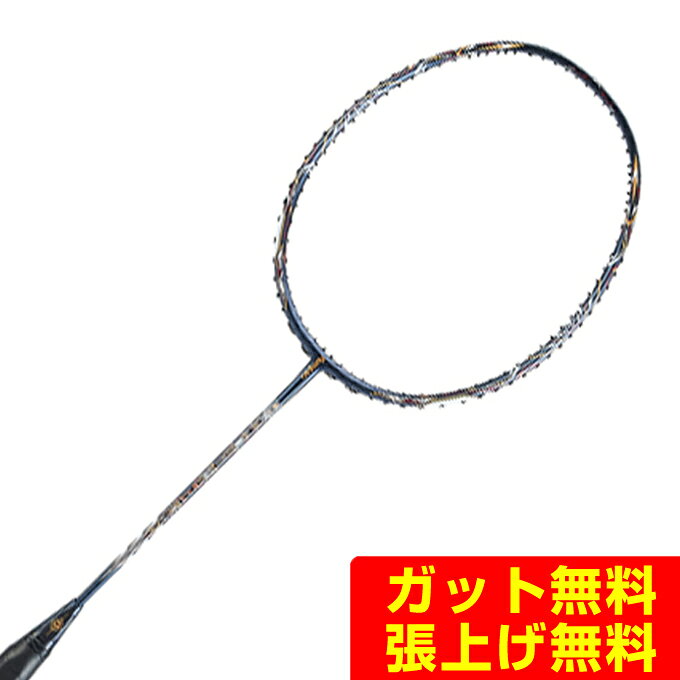 圧倒的な攻撃力とパワーを兼ね備えたラケットに、更なる反発とスピードを追求したラケット ■サイズ：4U5 ■重量：84g ■適正テンション：15-30lbs ■対象：中級～上級 ■付属品：ハードケース ■原産国：中国 ※商品はガット未張り上げ...