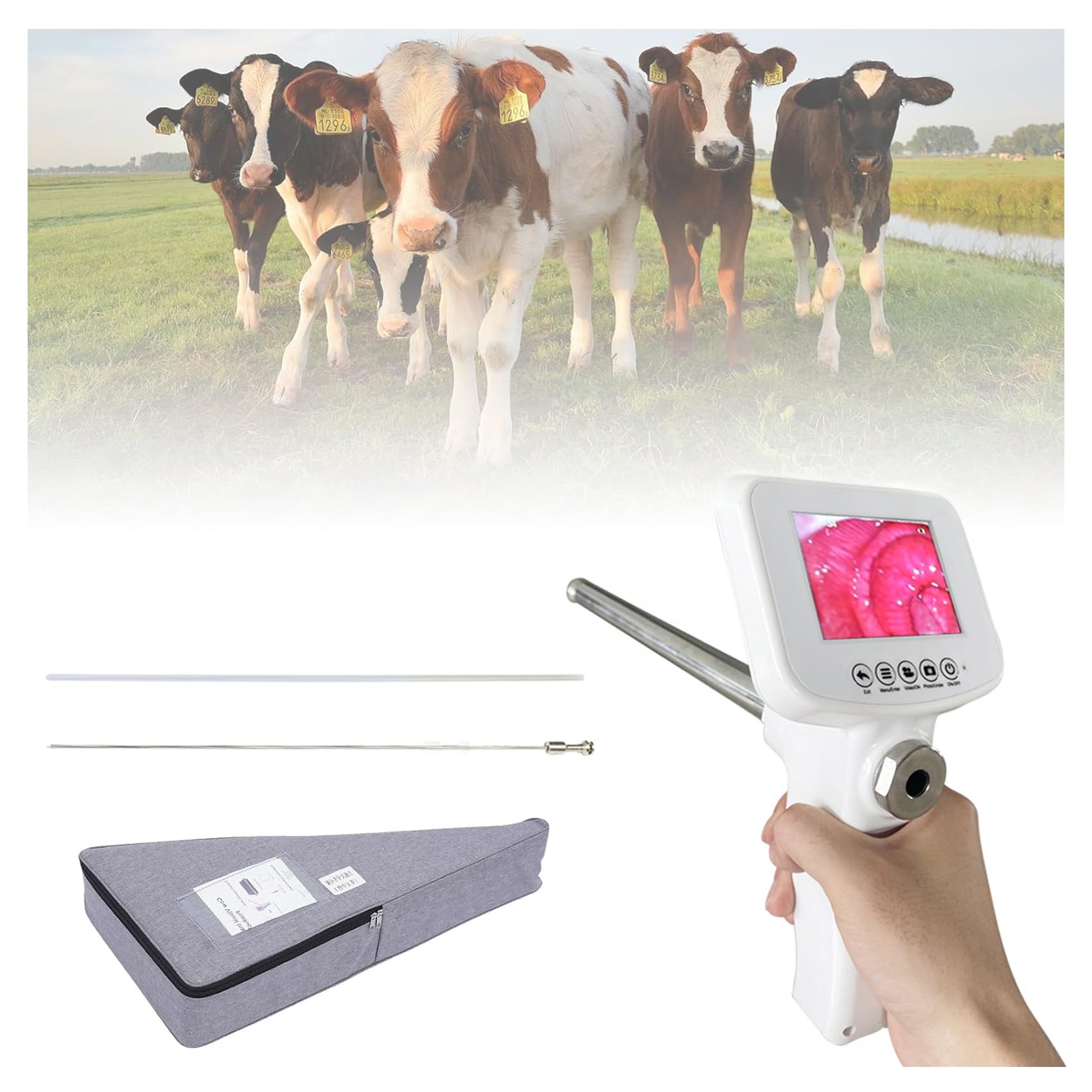 【恒温プローブ】プローブは恒温加熱をサポートし、低温刺激による牛のけいれんやストレスを回避します。プローブの端は丸みを帯びて研磨されており、ステンレス鋼で作られているため、耐腐食性があり、生殖管を傷つけません。サイドエアチャネルは粘液を吹き...