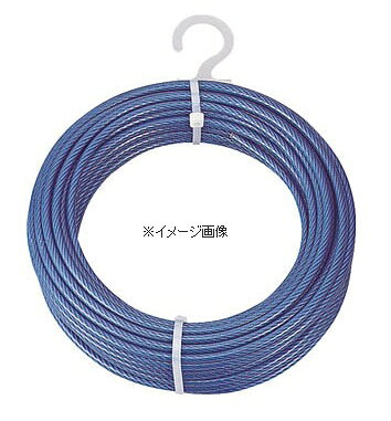 ＜仕様＞ ●PVC被覆亜鉛メッキ付ワイヤロープの構造:6×7 ●ロープ径(mm):4（6） ●使用荷重(kg):140 ●長さ(m):30 ●被覆外径(mm):6.0 ●質量(kg):2.13 ＜特長＞ ●メッキ付ワイヤロープにPVC被覆を...