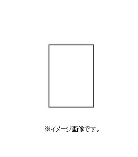 ●サイズ：104×65×1mm ●材質：硬質エンビ