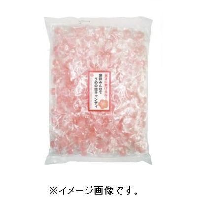 ＜特長＞ ●塩分だけでなく、梅の主成分クエン酸、カリウム等の各種ミネラルをおいしく補給できます。 ＜仕様＞ ●内容量：1袋1kg（約320粒） ●保存方法：直射日光、高温多湿を避け、冷暗所にて保存してください。 ＜材質＞ ●原材料：砂糖、水...