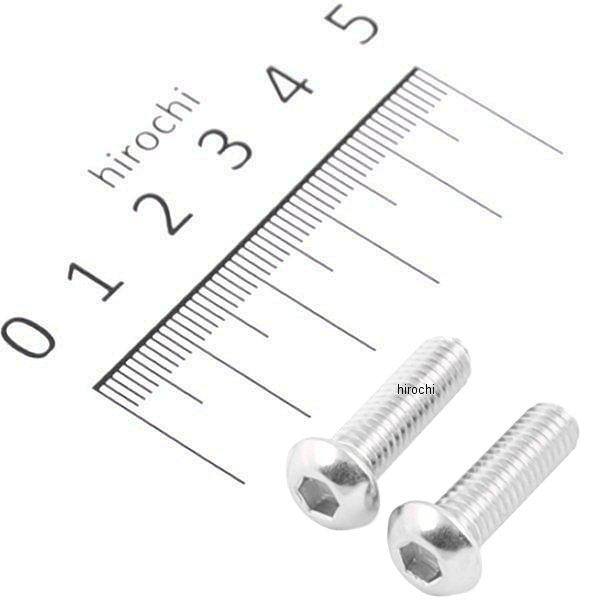 ポッシュ POSH ボタンキャップボルトセット汎用サイズ:M6x20mm素材:ステンレス2本入最大径 (ヘッド):約10.2mm900620-B2楽天 HD店　