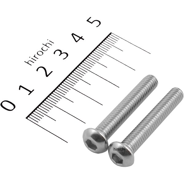 ポッシュ POSH ボタンキャップボルトセット汎用サイズ:M6x35mm素材:ステンレス2本入最大径 (ヘッド):約10.2mm900635-B2楽天 HD店　