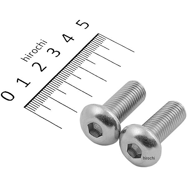 ポッシュ POSH ボタンキャップボルトセット汎用サイズ:M10x25mm P1.25素材:ステンレス2本入911025-B2楽天 HD店　