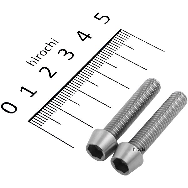 ポッシュ POSH テーパーキャップボルトセット汎用サイズ:M6x30mm素材:ステンレス2本入最大径 (ヘッド):約9.5mm900630-T2楽天 HD店　