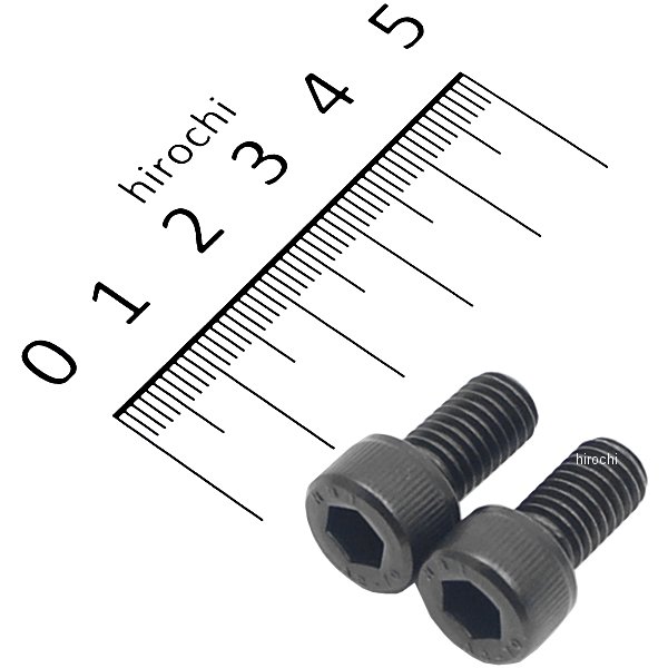 ポッシュ POSH キャップボルトセット汎用サイズ:M8x15mmカラー:ブラック素材:ステンレス入数:2本入最大径 (ヘッド):12.8mm900815-K2楽天 HD店　