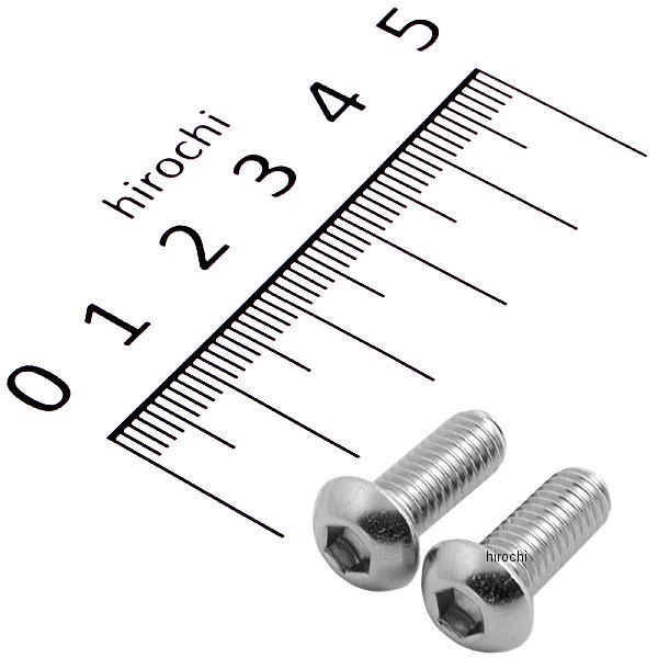 キタコ ボタンキャップボルト 6X15汎用M6×P1.0数量:2材質:ステンレス0900-060-20003楽天 HD店　
