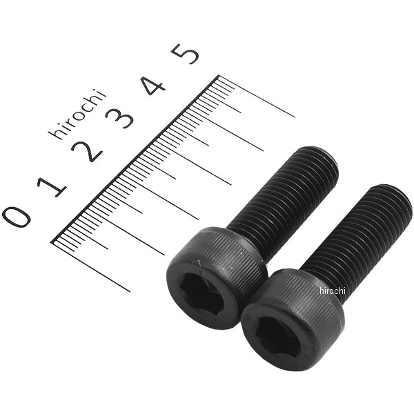 ポッシュ POSH ステンレスブラックテーパーキャップボルトサイズ:M10X30 P1.25カラー:黒2個入り911030-K2楽天 HD店　