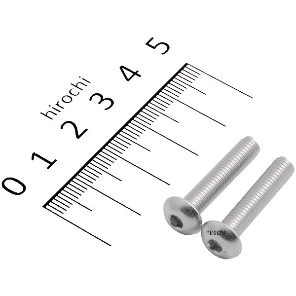 ポッシュ POSH ステンレスボタンキャップボルトサイズ:M5X25長さ:25mm2個入り920525-B2楽天 HD店　