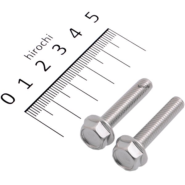 フランジ付き六角ボルトです。材質:ステンレス製ネジタイプ:M6/P1.0サイズ A:30mm入数:2個入り0900-062-03005楽天 HD店　