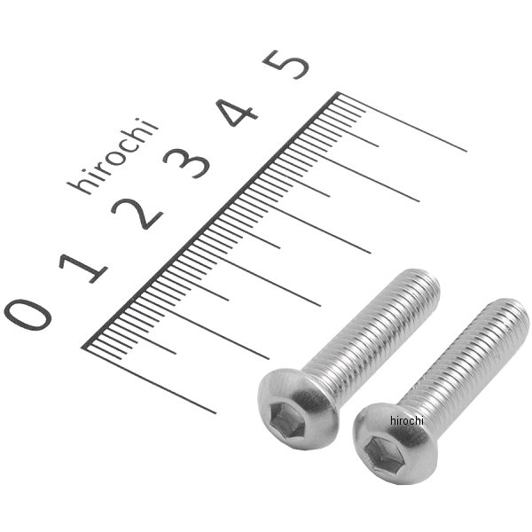 ポッシュ POSH ボタンキャップボルトセット汎用サイズ:M6x25mm素材:ステンレス2本入最大径 (ヘッド):約10.2mm900625-B2楽天 HD店　