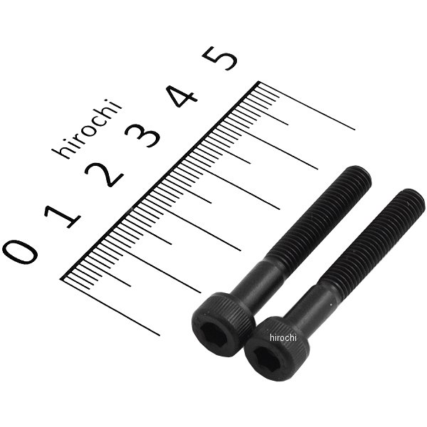 ポッシュ POSH ステンレスブラックキャップボルトサイズ:M5X35長さ:35mmカラー:黒2個入り920535-K2楽天 HD店　