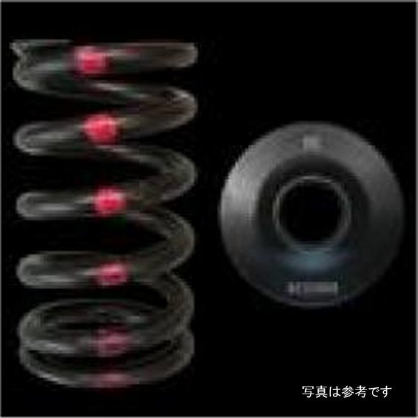 Brian Crower Nissan SR20DE/DET Single Spring & Steel Retainer Kitメーカー：Brian Crowerメーカー品番：BC0200S・掲載画像は、カタログより抜粋した参考画像となっ...