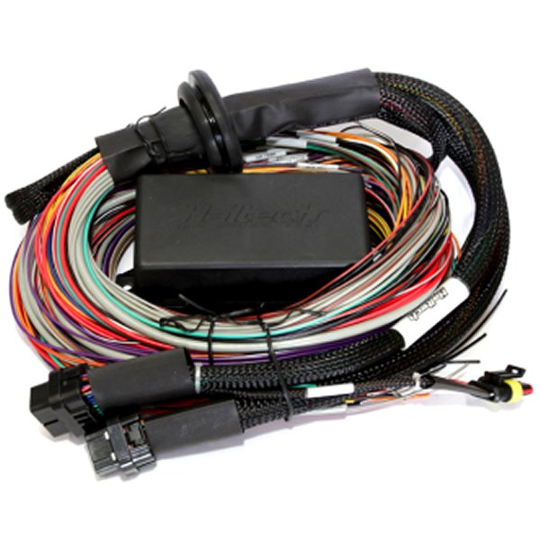 Haltech Elite 2500 & 2500 T 8ft Premium Universal Wire-In Harnessメーカー：Haltechメーカー品番：HT-141304・掲載画像は、カタログより抜粋した参考画像となっており...