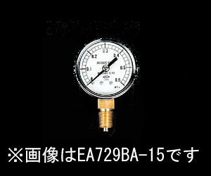 ●接続…G(PF)1/4”●圧力(MPa)…0〜0.6●ケージ径(mm)…60ブルドン管方式000012017818楽天 HD店　