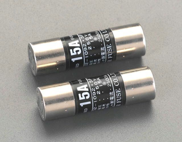 ●遮断容量:AC-2(2500A)●電流:50A●A:16mm●D:20mm●L:75mm定格250V非再用型2個価格000012080419楽天 HD店　