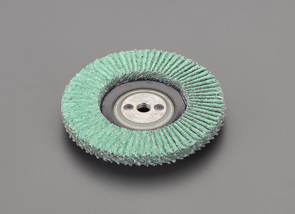 外径(mm)：100穴径(mm)：15粒度：#80最大回転数(rpm)：13，100一般鋼、ステンレス鋼用厚板・薄板の軽研削・研磨・ビード取りEA809CR-80楽天 HD店　