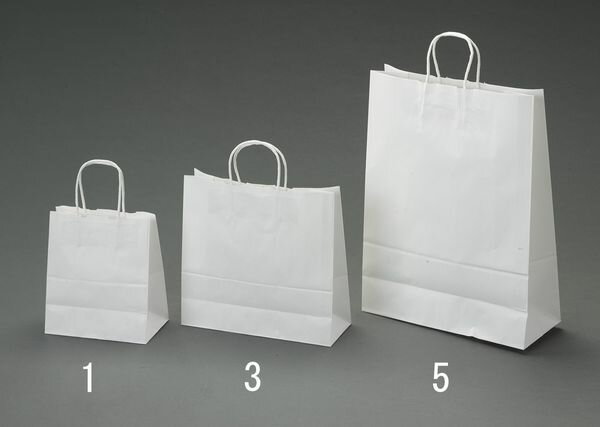 材質：晒クラフト紙持ち手付（紙紐/丸紐）汎用性の高い白無地の手提げ袋です。様々な用途に使用できます。サイズ（幅×マチ×高さ）：270×80×340mm厚み：80g/入数：50枚000012297245楽天 HD店　