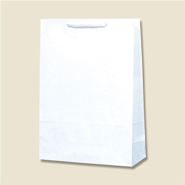 サイズ(幅×マチ×高さ)mm：380×150×520厚み(g/)：120入数(枚)：50材質：本体：片艶クラフト紙 手紐：PP紐色：白(無地)口ボール、底ボール付手紐付000012340804楽天 HD店　