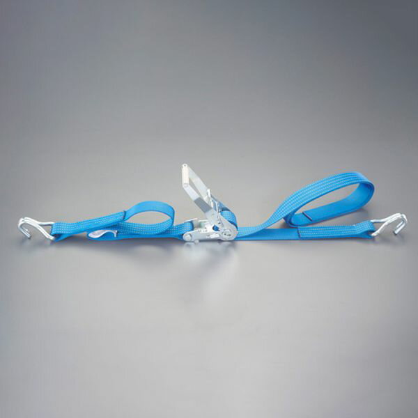 使用荷重：10kN(1010kg)ベルト長：固定側：1.0m 調整側：9.0mベルト幅：50mmベルト厚み：3.3mm破断荷重：40kN材質：ベルト：ポリエステル バックル：スチール(クロムメッキ)両端フック型入数：1個0000123454...