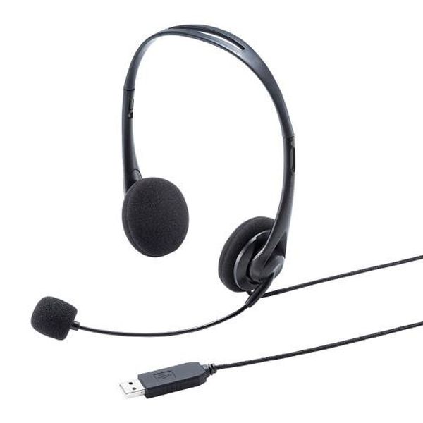 ●＜ヘッドホン部＞●形式…ダイナミック型30mm（ステレオ）●周波数帯域…20〜20,000Hz●インピーダンス…32Ω±15％●最大入力…30mW●＜マイクロホン部＞●形式…コンデンサータイプ●指向性…無(全）指向性●周波数帯域…10〜1...