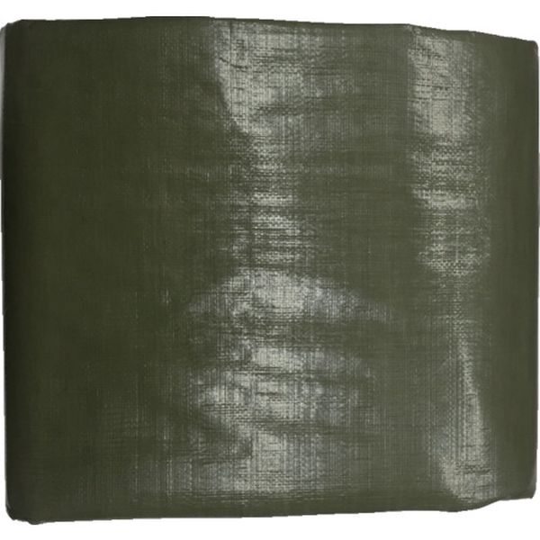 ・紫外線耐候剤配合で防水性が高いです。・超厚手#4000タイプです。・緑地地帯工事の養生や資材カバー・色：ODグリーン・幅(m)：5.4・長さ(m)：5.4・厚さ(mm)：0.31・ハトメ数(個)：24・ハトメピッチ(cm)：90・番手(#...