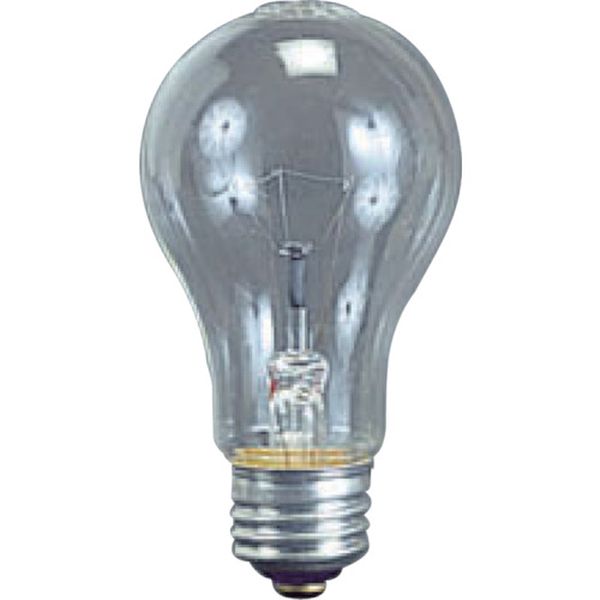 ・白熱灯ハンドランプ60W用交換球。・消費電力(W)：60・球寿命(時間)：約1000・全光束(lm)：790・製造国：中国・生産国 日本・JANコード 4930510310107・質量 30g・コード：370-4726 ・品目：TD60T...