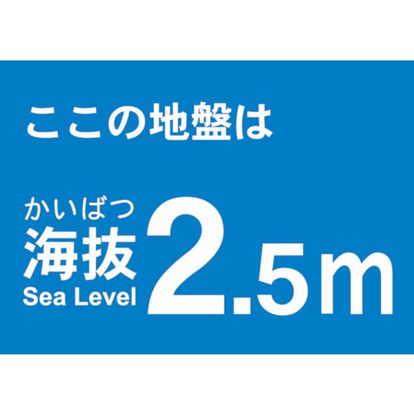 ・屋内外使用可能です。・表示内容:ここの地盤は海抜2.5m・取付仕様:粘着シール・取付方法：貼付タイプ・縦×横:120×170mm・塩化ビニール(PVC)・貼り付ける面のゴミ・油等を拭きとってください。・生産国 日本・JANコード 4989...