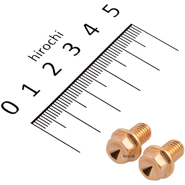 ポッシュ POSH スモールフランジ六角ボルト24Kメッキ 2個/1パック材質:SUS304強度区分:A2-70ネジサイズ:M6x10 P1.0φD:10.5mmk:6mmS:8mm24Kメッキ 処理をした対辺8ミリメートルのスモールフラン...